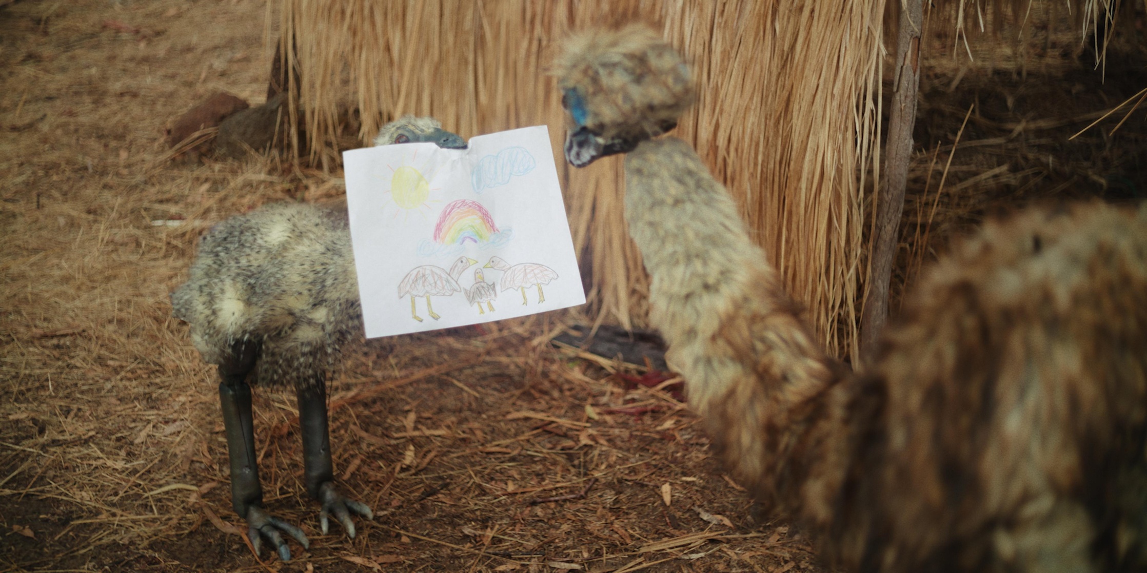 Picture of The Emu War