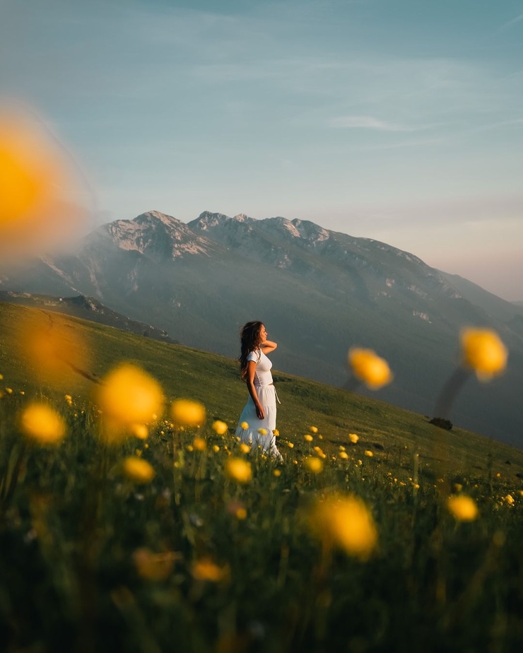 Picture of Ava F Grace