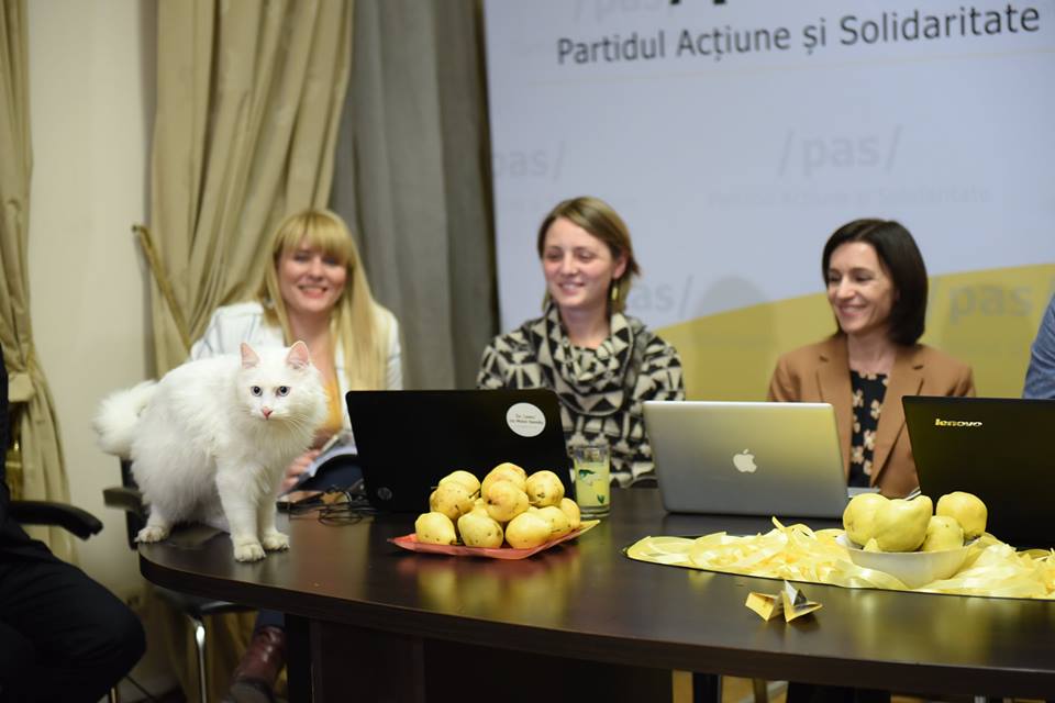 Maia Sandu and a cat