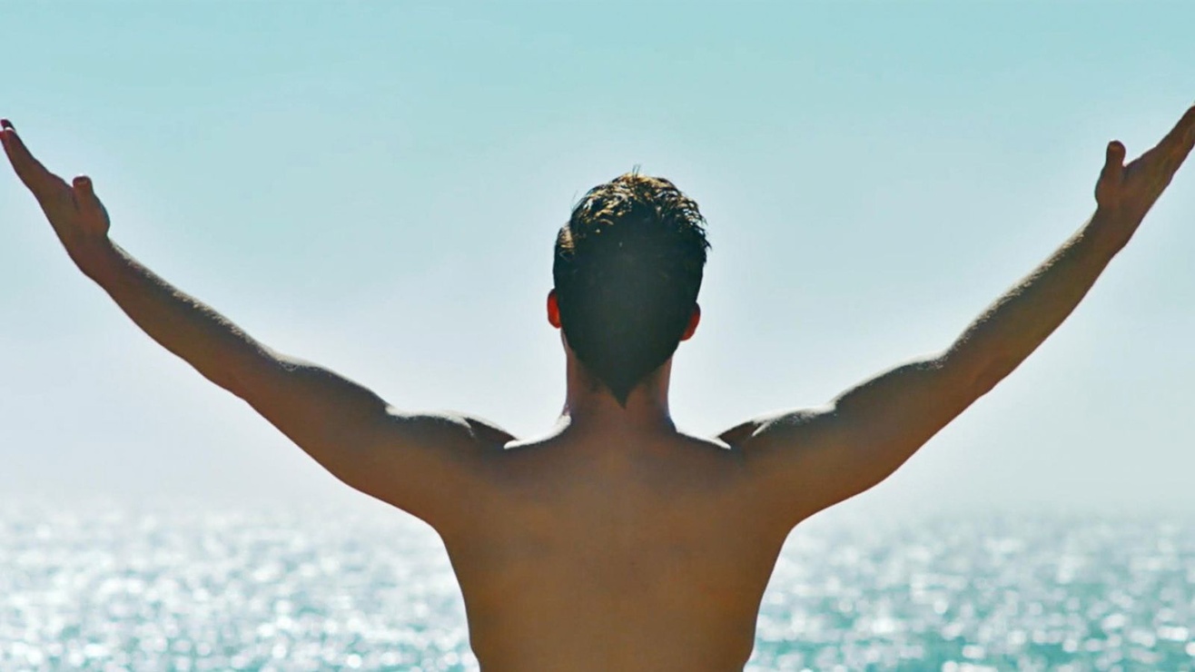 Picture of Everything Is Free