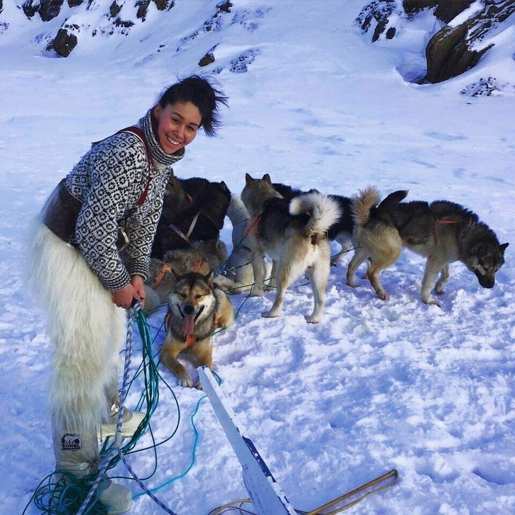 Picture of Canadian Inuit Dog