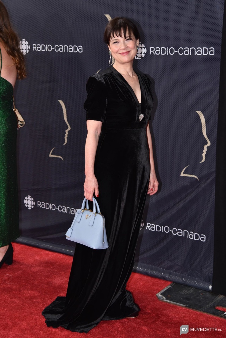 Picture of Anne Dorval