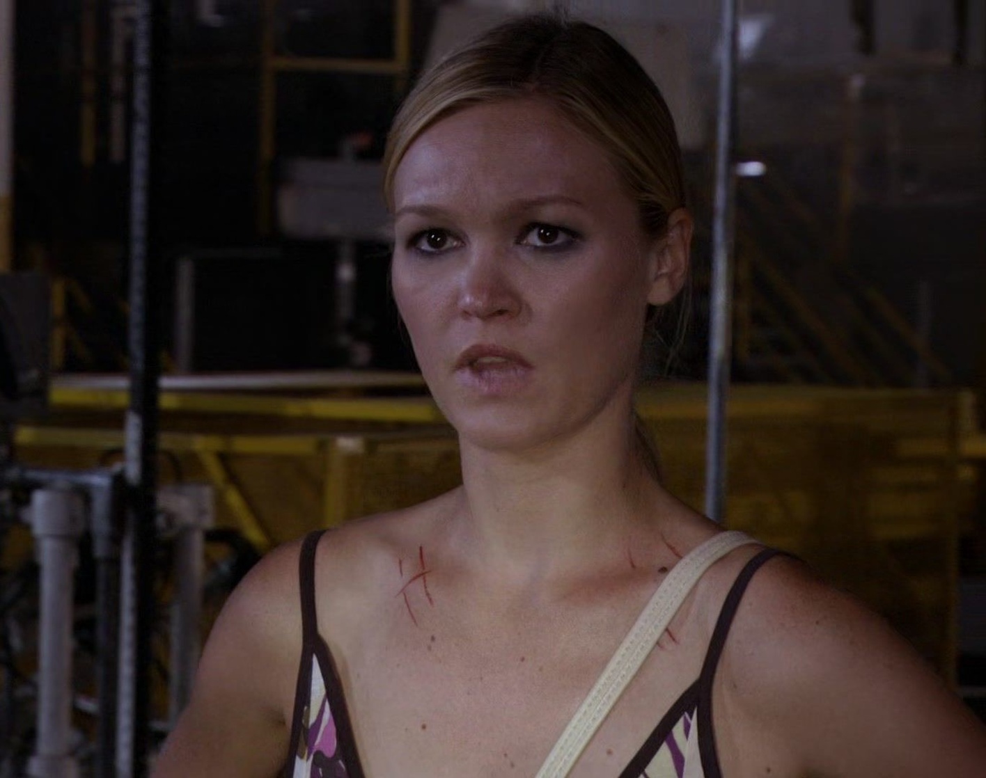 Picture of Julia Stiles