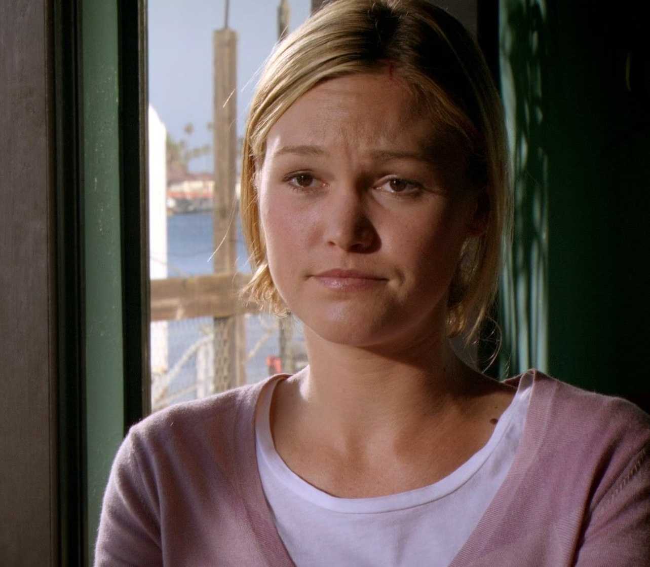 Picture of Julia Stiles