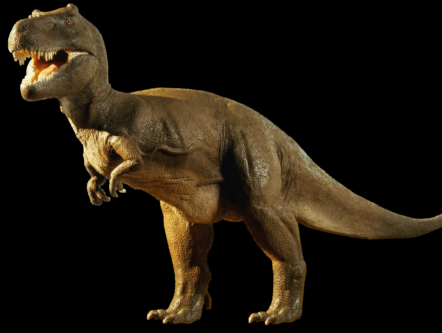 Picture of Tyrannosaurus Rex ( T-Rex )