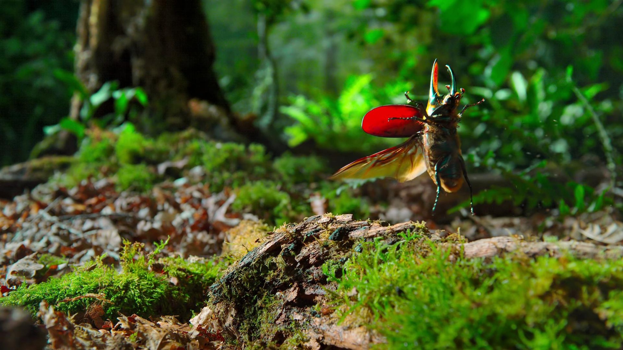 Picture of Tiny World