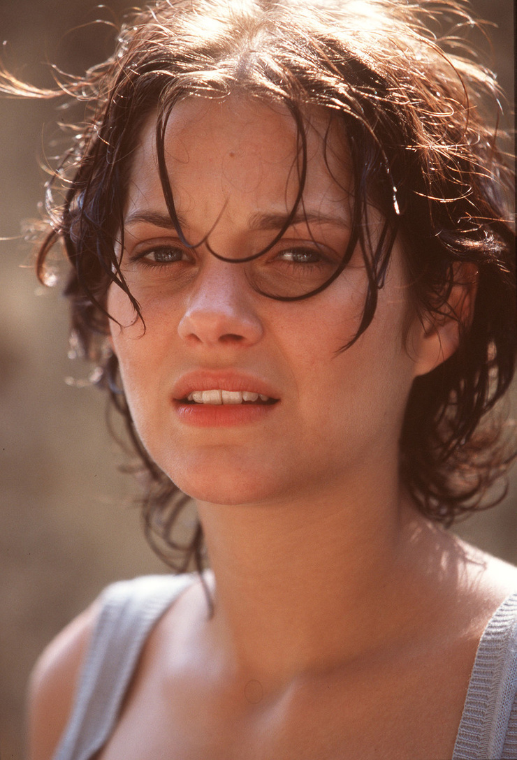 Picture of Marion Cotillard