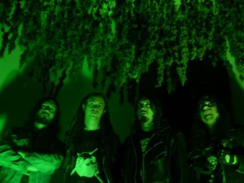 Picture of Cannabis Corpse