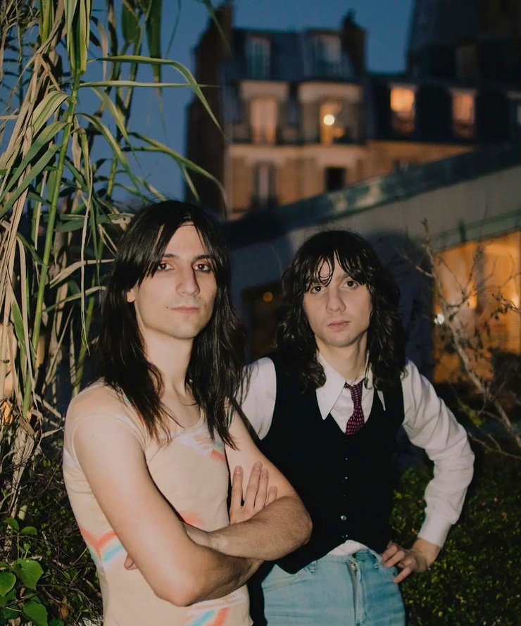 Picture of The Lemon Twigs