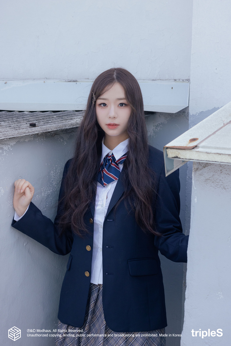 Picture of Evolution