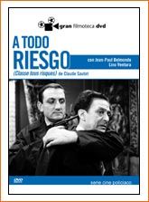 Picture of The Big Risk