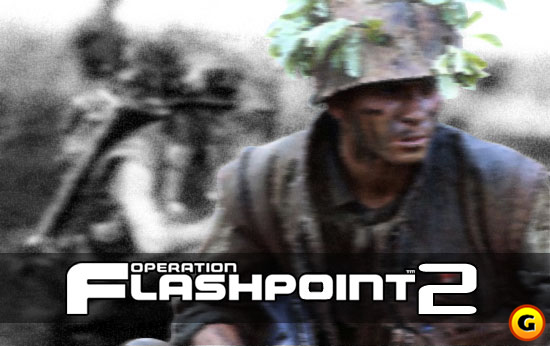 Operation Flashpoint: Dragon Rising picture