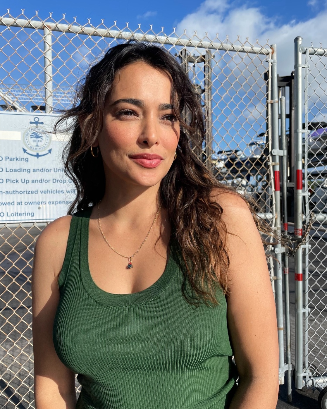 Natalie Martinez image
