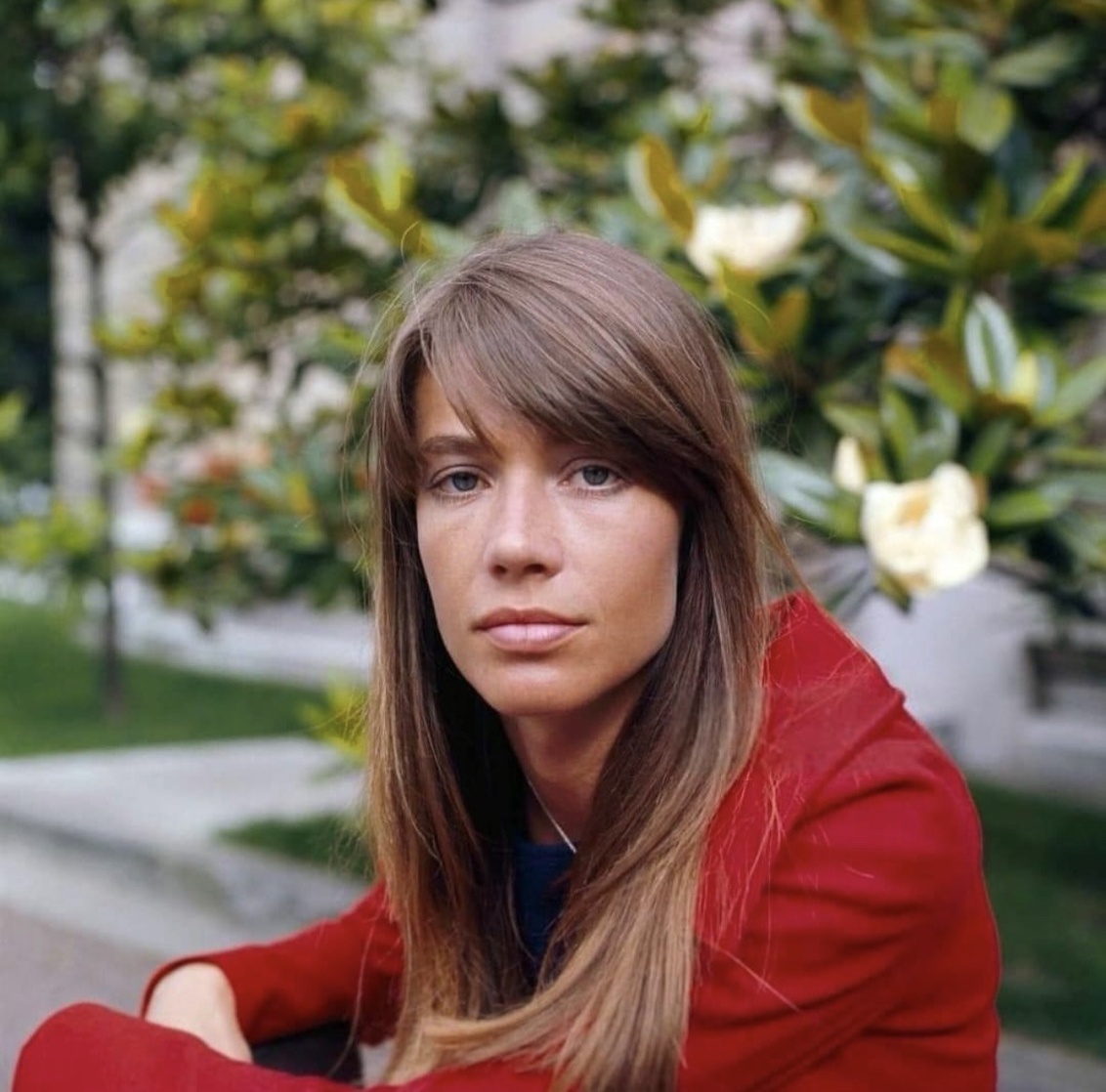 Picture of Françoise Hardy