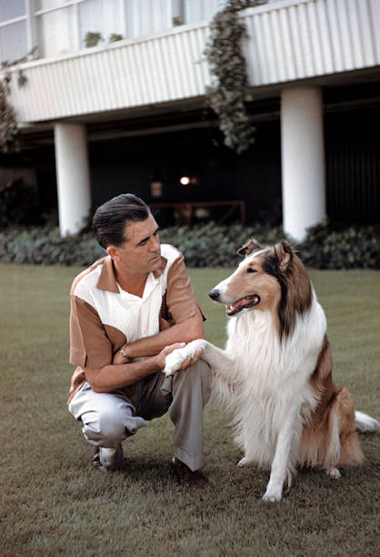 Rudd Weatherwax, Lassie