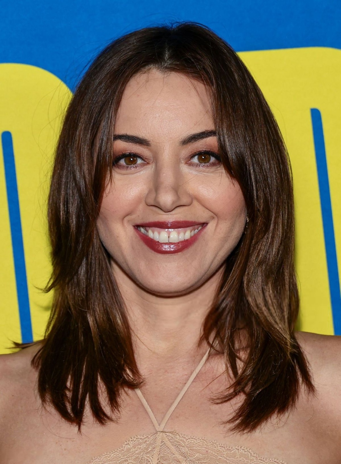 Picture of Aubrey Plaza