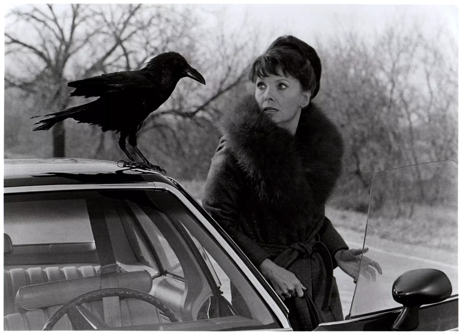 Image of Damien: Omen II