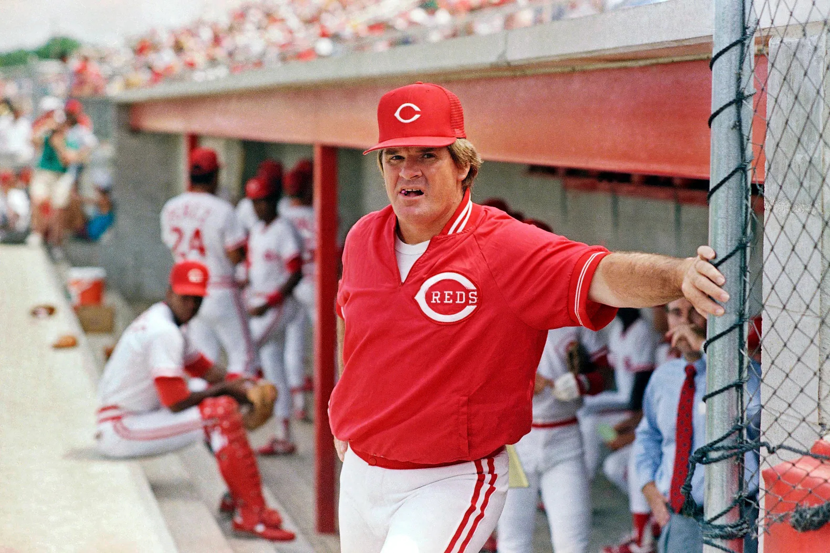 Picture of Pete Rose