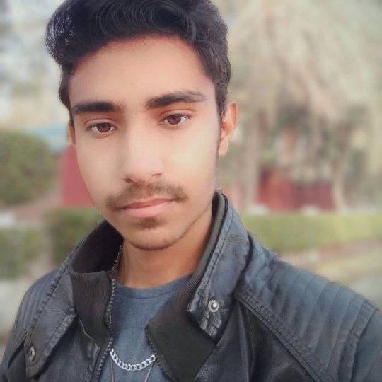 Picture of Shahmeer Saleem