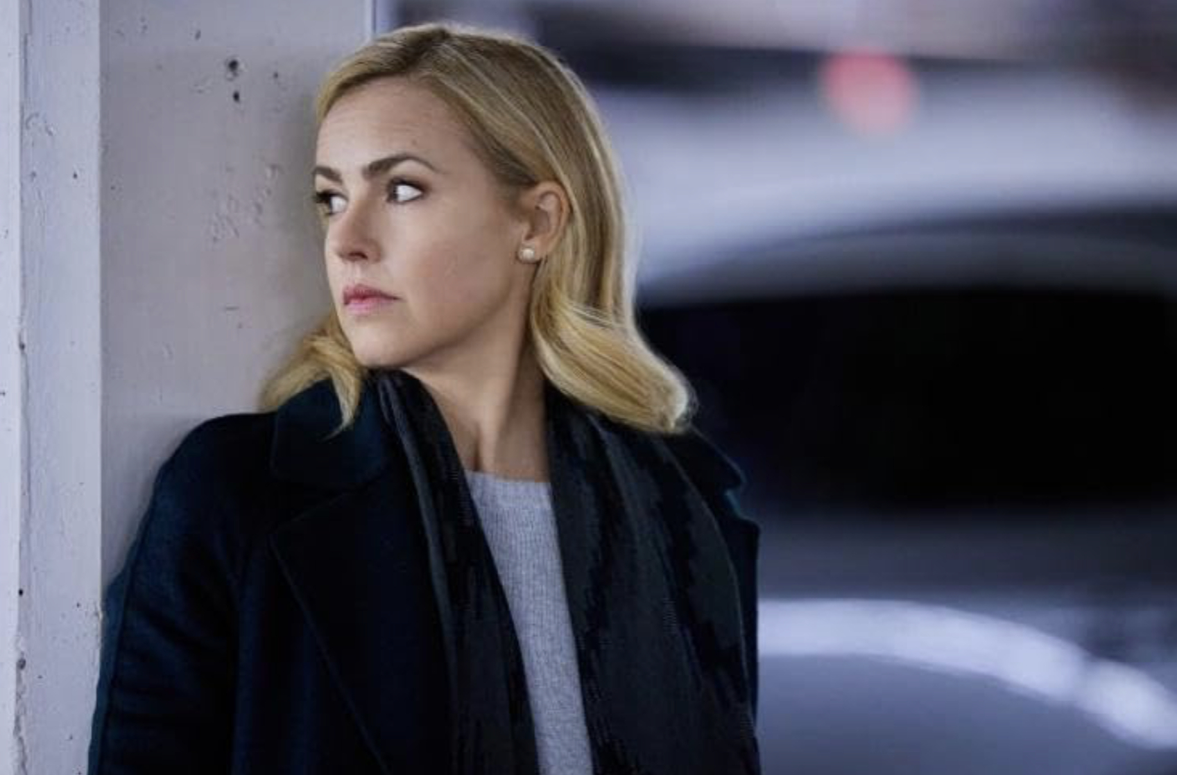 Picture of Amanda Schull