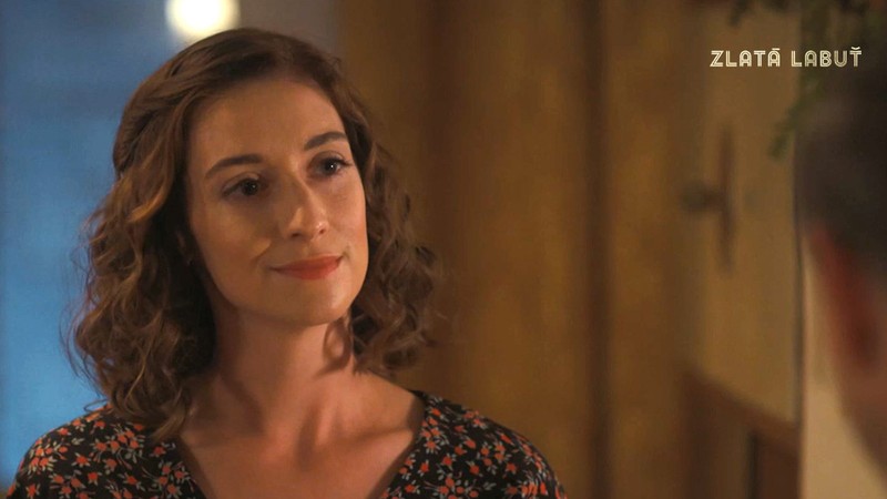 Picture of Zlatá labut