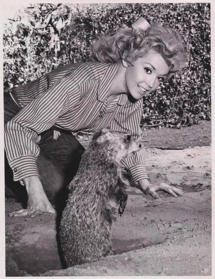 Donna Douglas