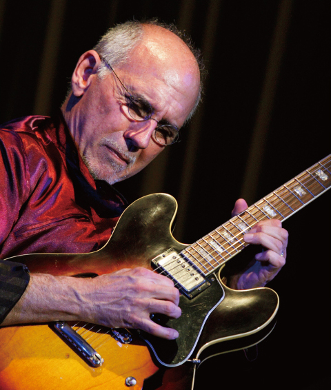 Picture of Larry Carlton