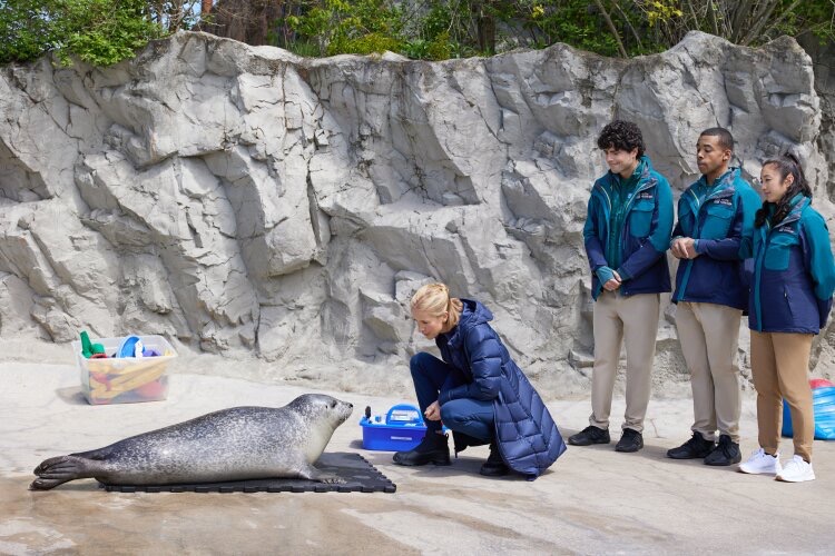 Picture of Eric Freeman