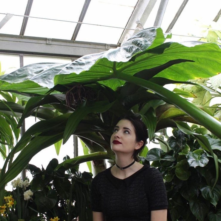 via Instagram (@_susan_coffey)