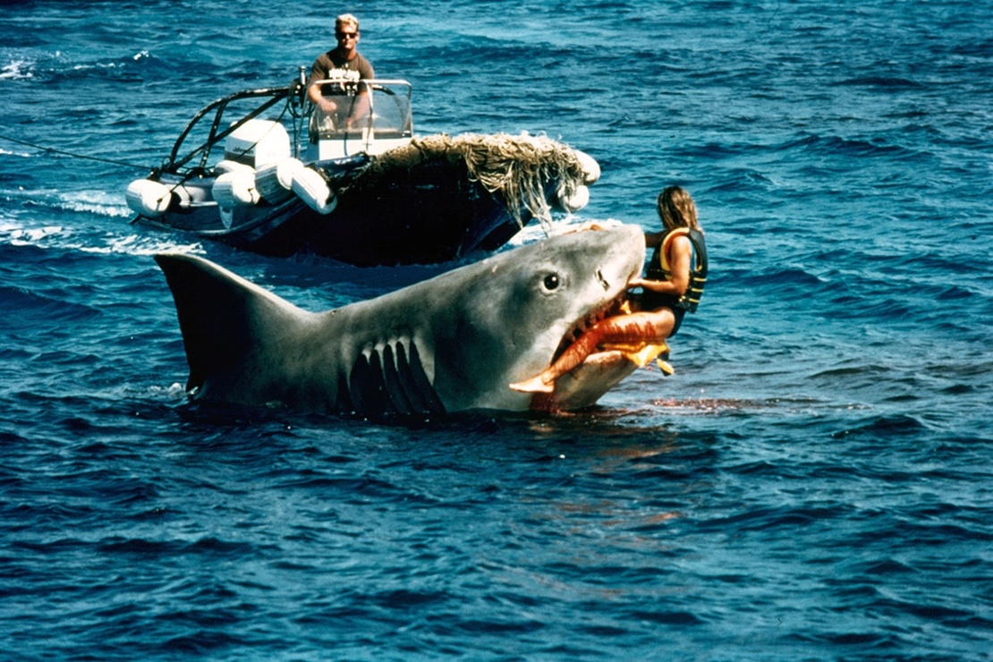 Jaws: The Revenge image
