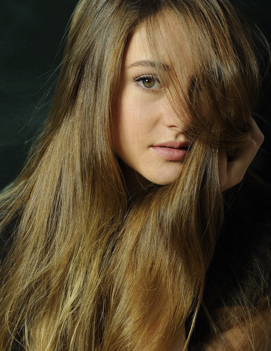 Picture of Shailene Woodley