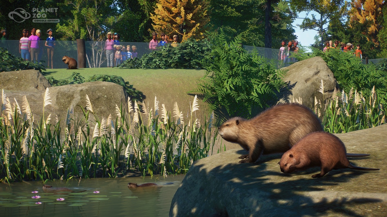 Picture of Planet Zoo: Console Edition