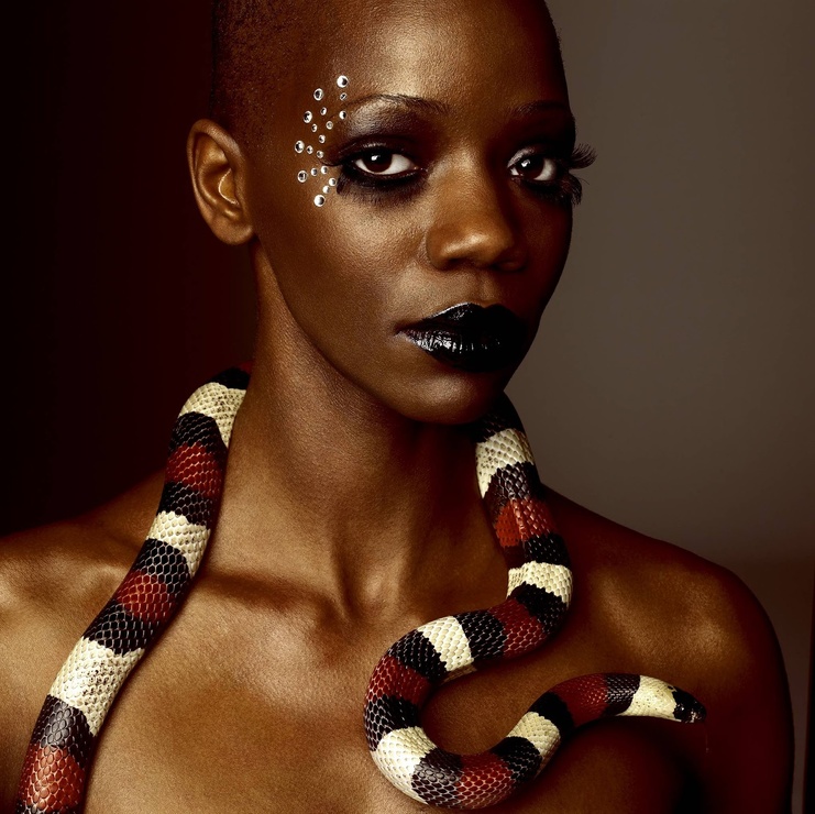 Image of America's Next Top Model