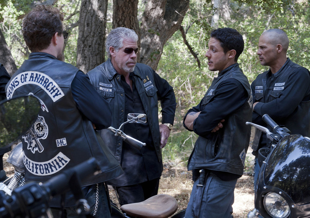 Picture of Sons of Anarchy