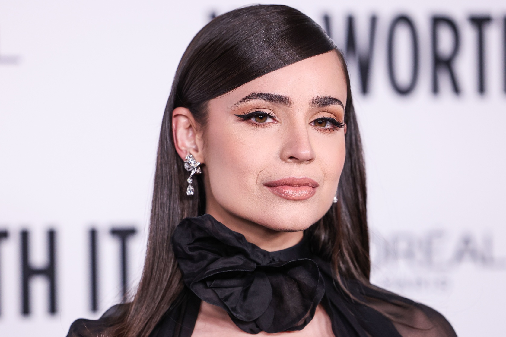 Picture of Sofia Carson