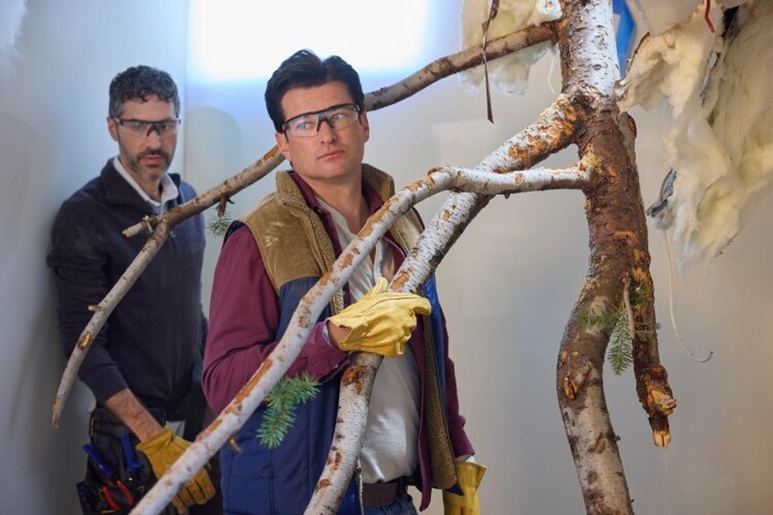 Picture of Deck the Walls