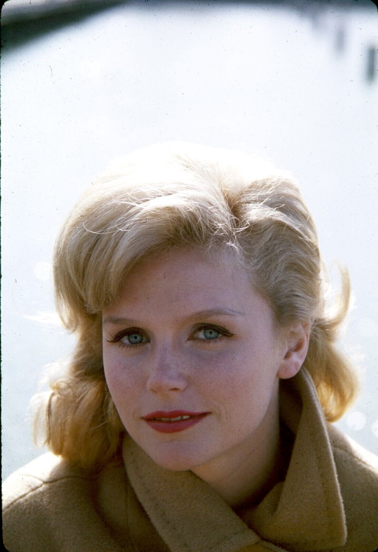 Lee Remick