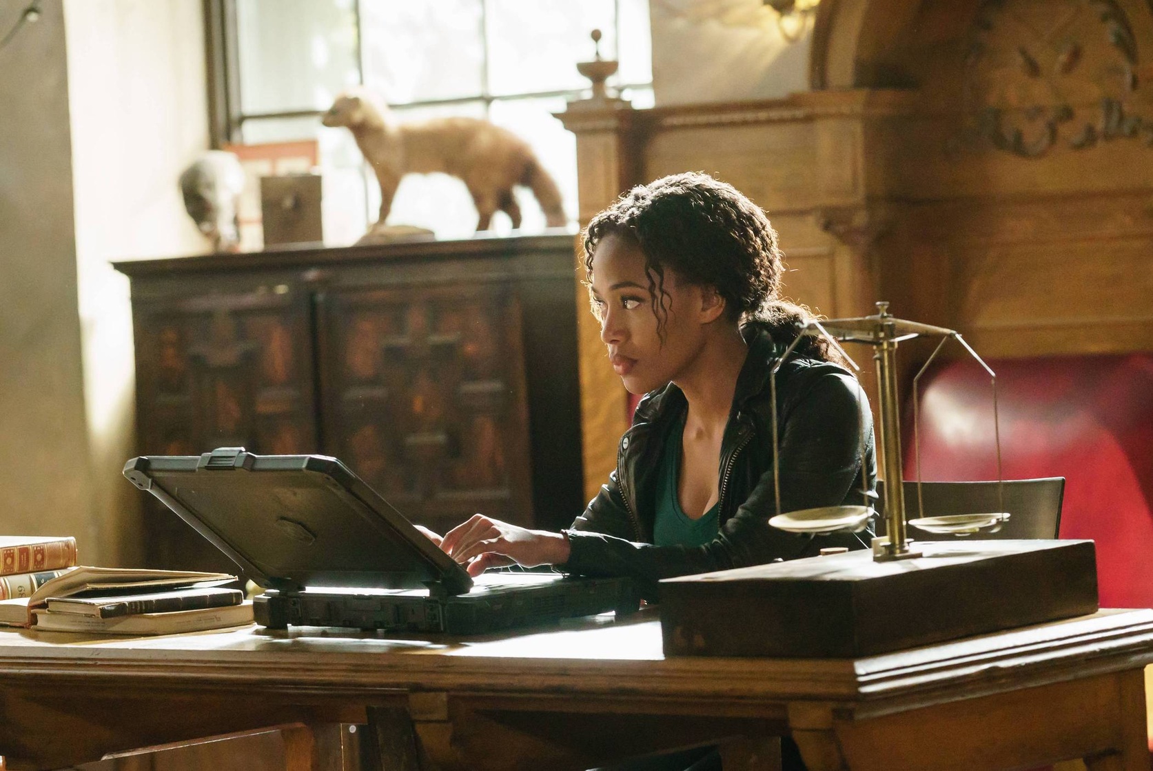 Picture of Nicole Beharie