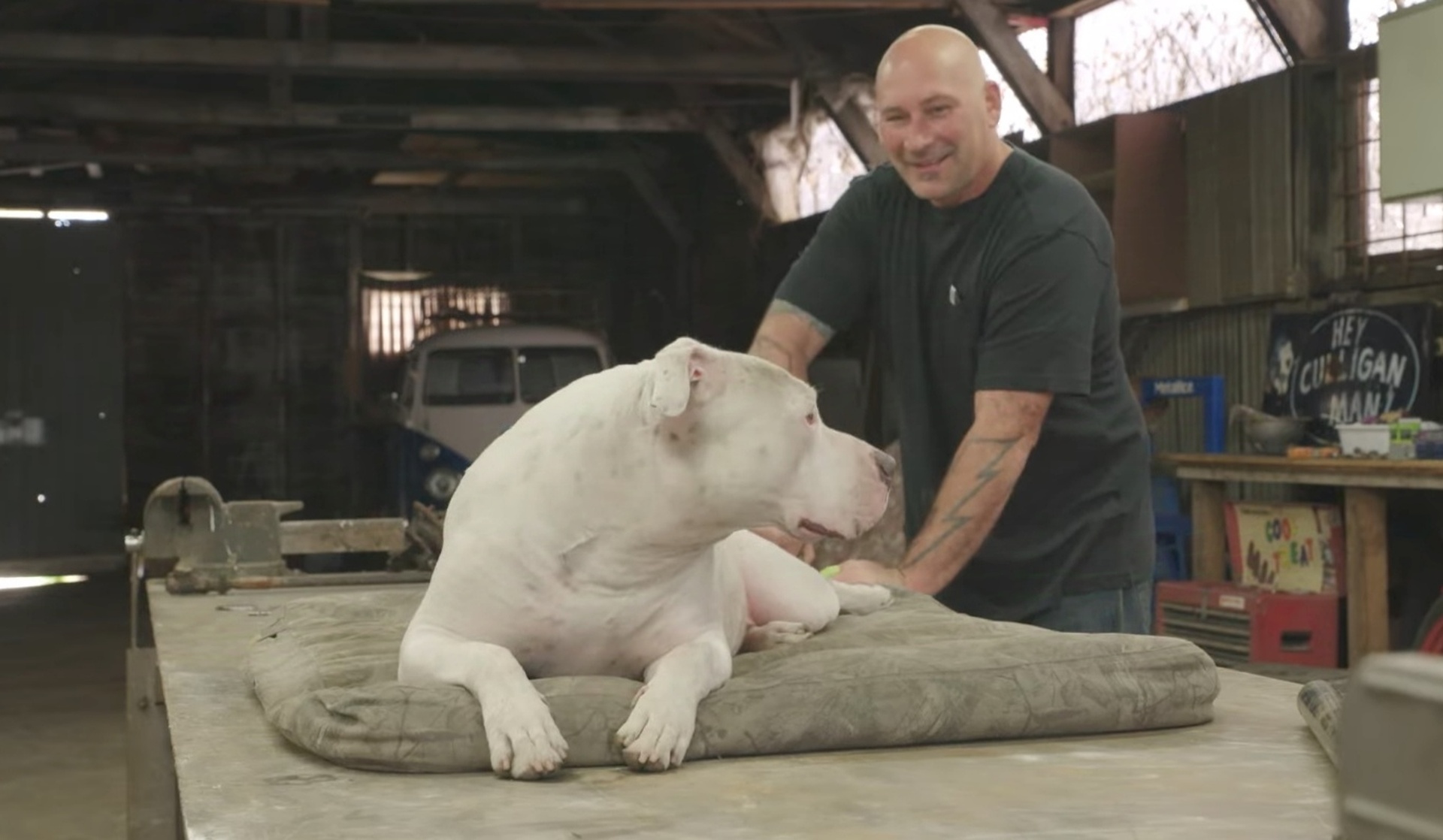 Picture of Shop Inspector