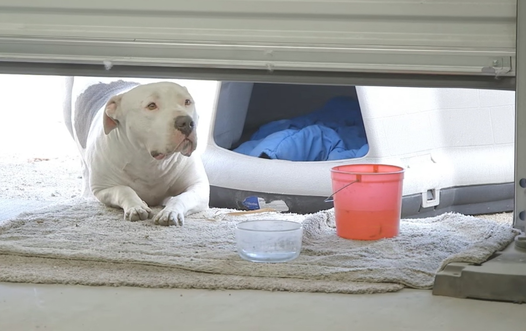 Shop Inspector image