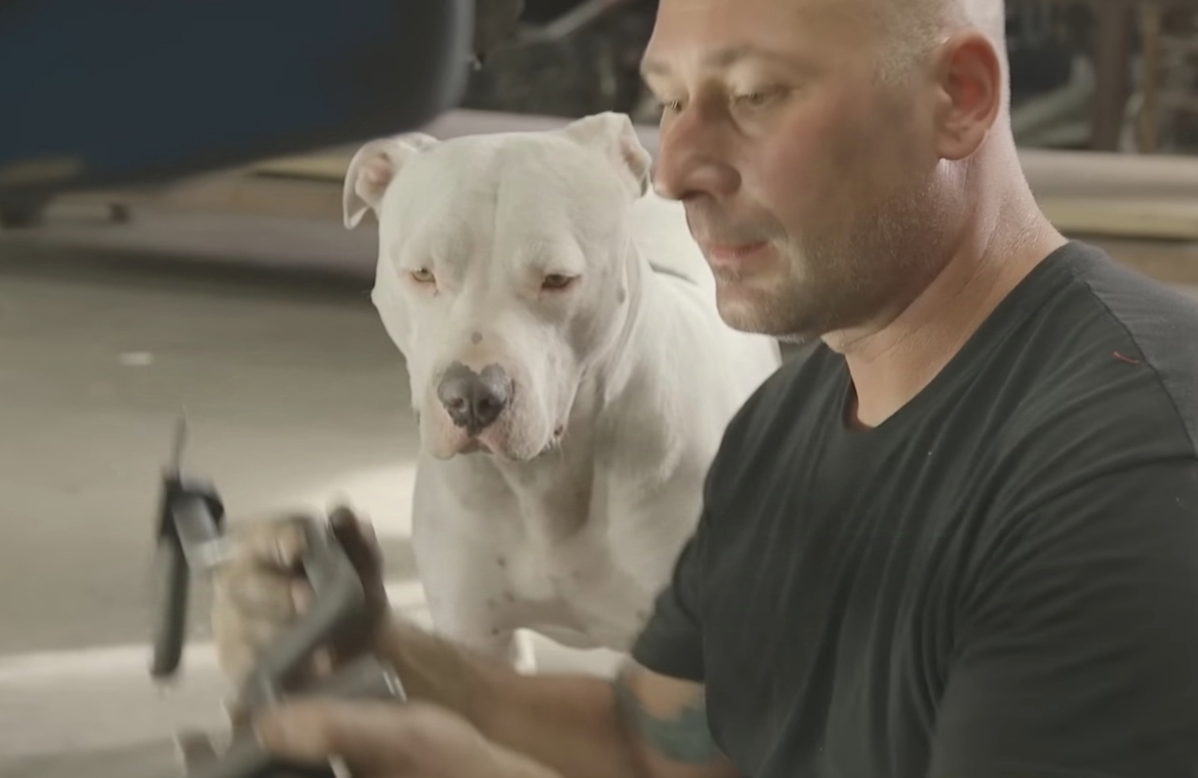 Picture of Shop Inspector