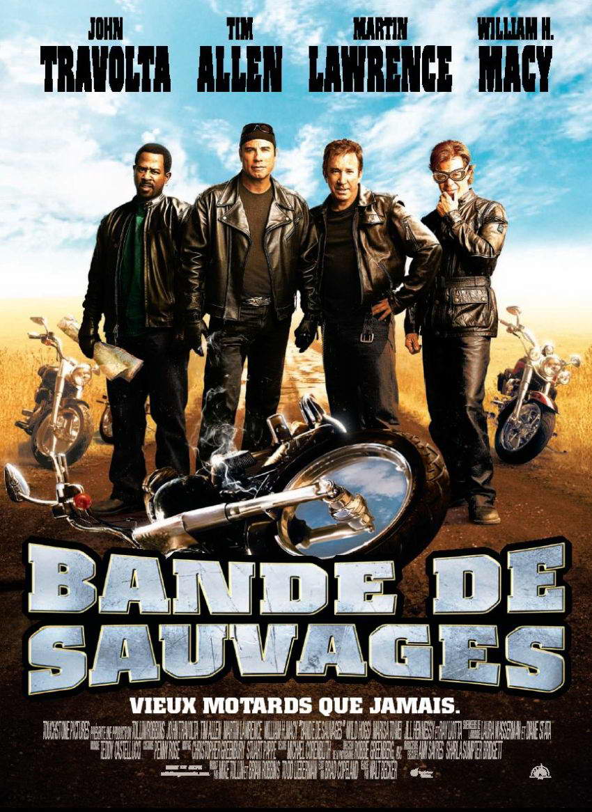 Picture of Wild Hogs