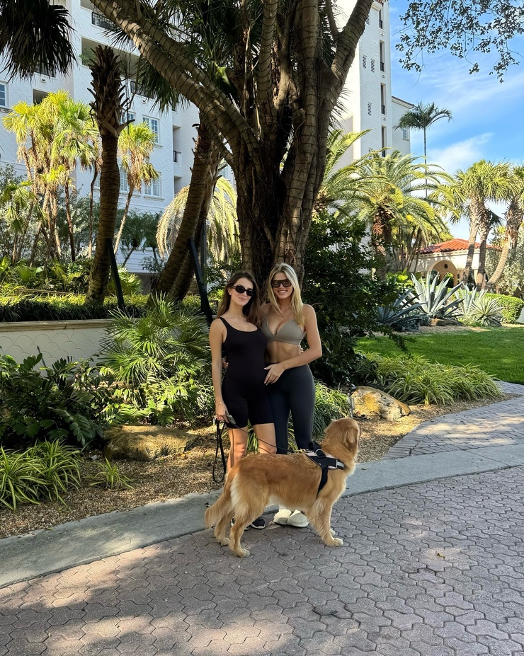 Picture of London Olive