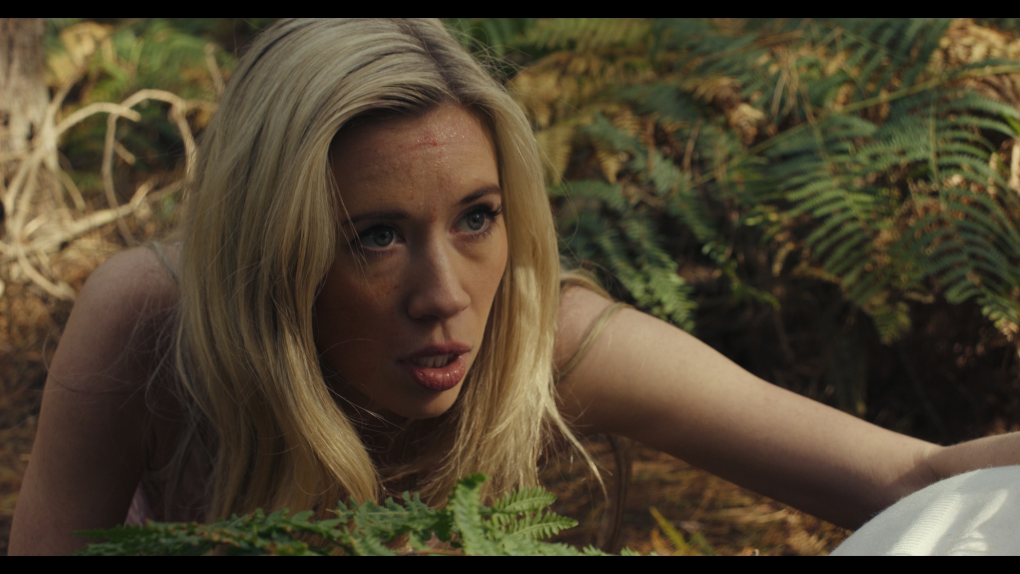 Picture of The Final Scream