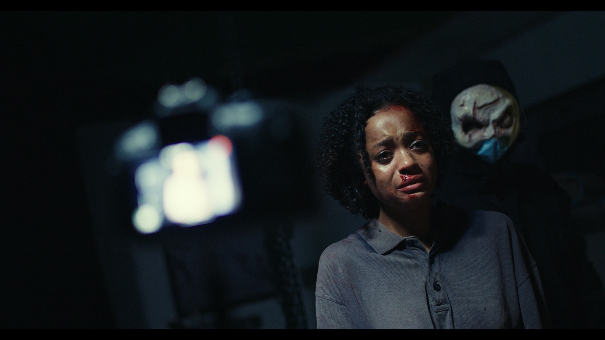 The Final Scream image