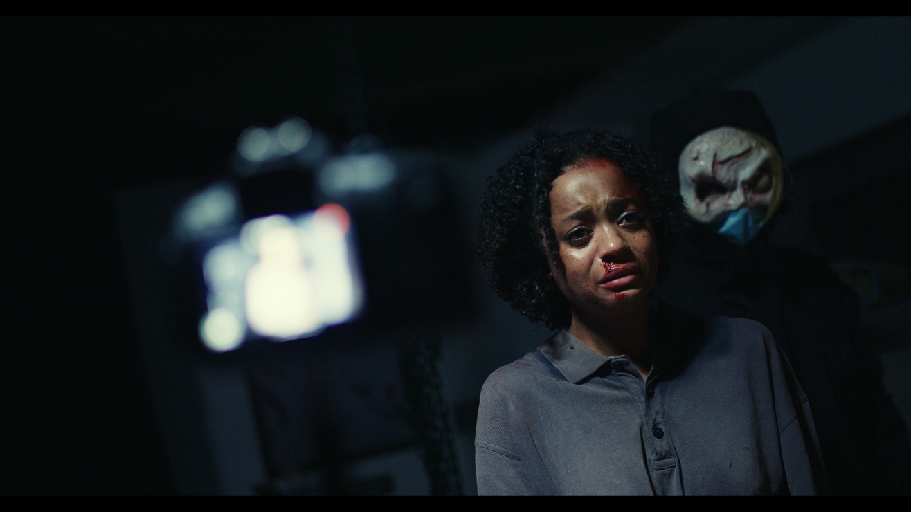 The Final Scream image