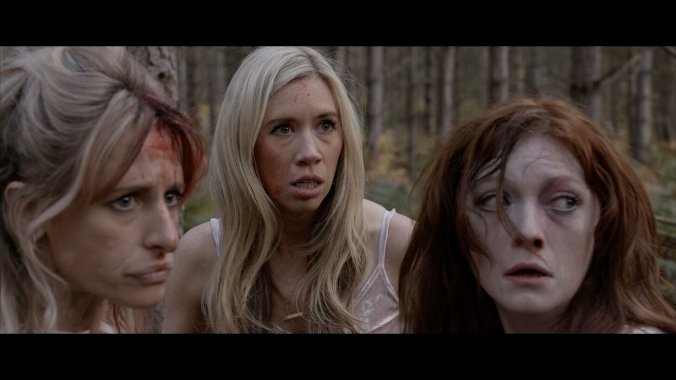 Image of The Final Scream