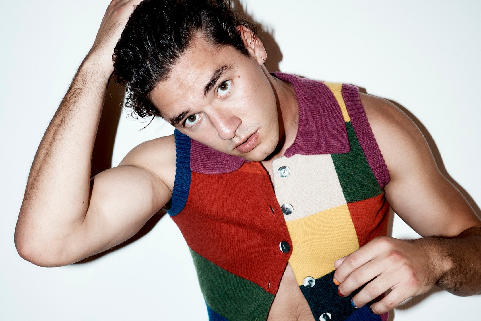 Image of Belmont Cameli