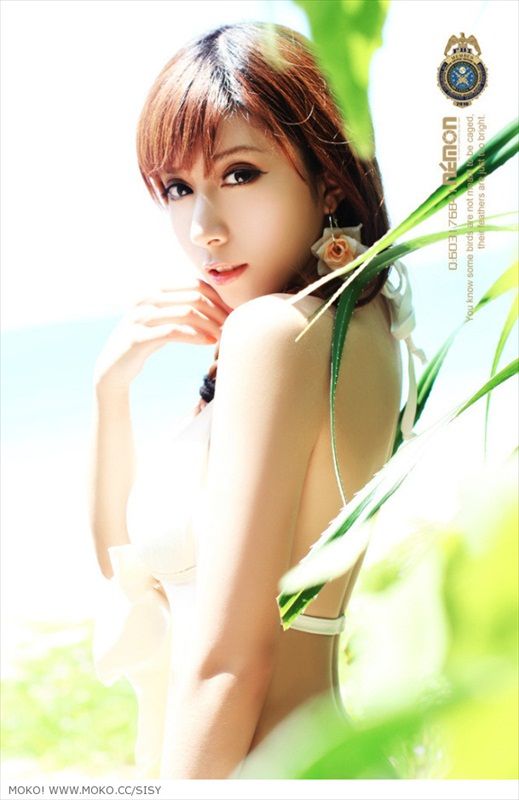 Picture of Zhang Shi Qi