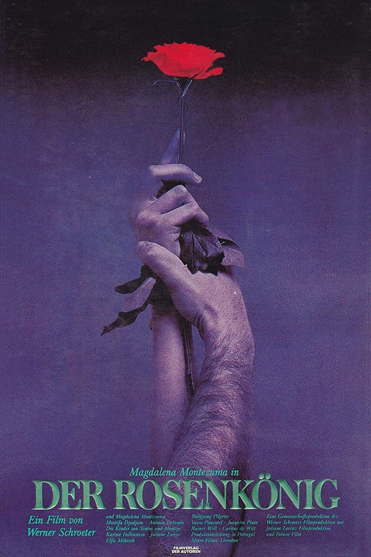 Picture of The Rose King